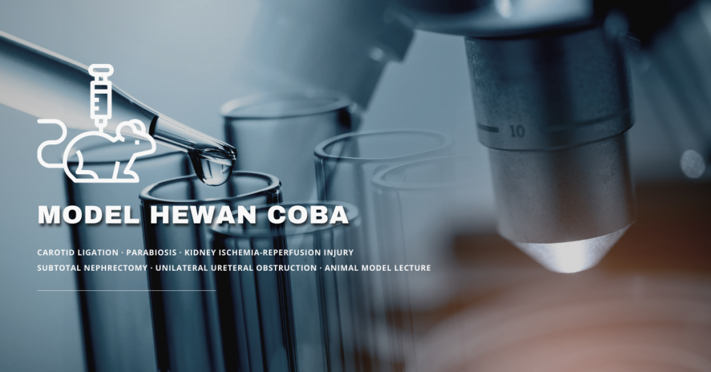 Kumpulan Video Model Hewan Coba – Laboratorium Anatomi | Departemen ...