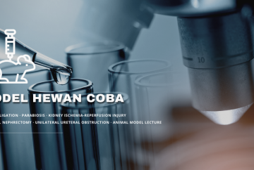 Model Hewan Coba – Laboratorium Anatomi | Departemen Anatomi FK-KMK UGM